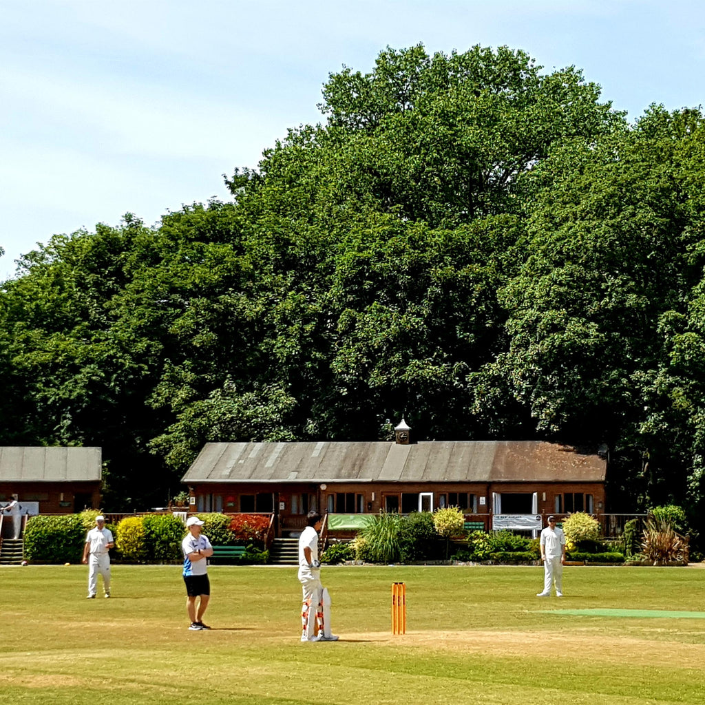 Nepotists CC v Shepperton CC For The Holgate Trophy, Sunday June 24 ...